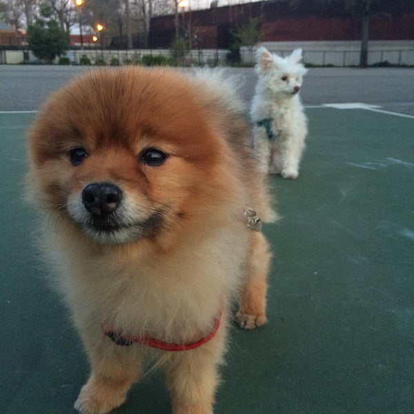 Lou Lodati Playground - Playground