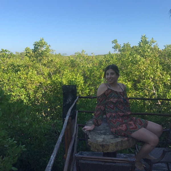 MangleX Tulum - Hotel Pool in Tulum