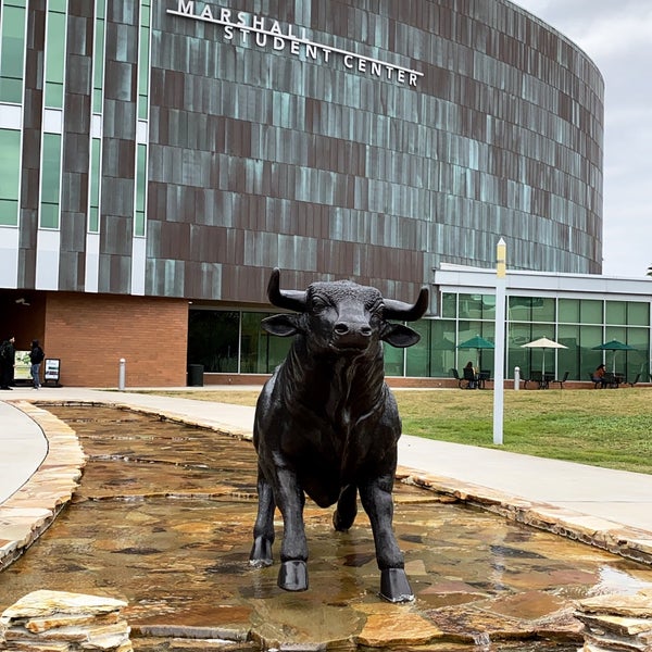Marshall Student Center (MSC) - New Tampa - 45 tips from 3947 visitors