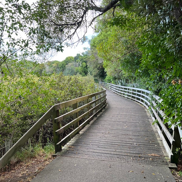 Coxs Bay Reserve - Park in Ponsonby