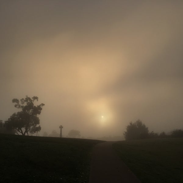Rawson Oval - Mosman, NSW