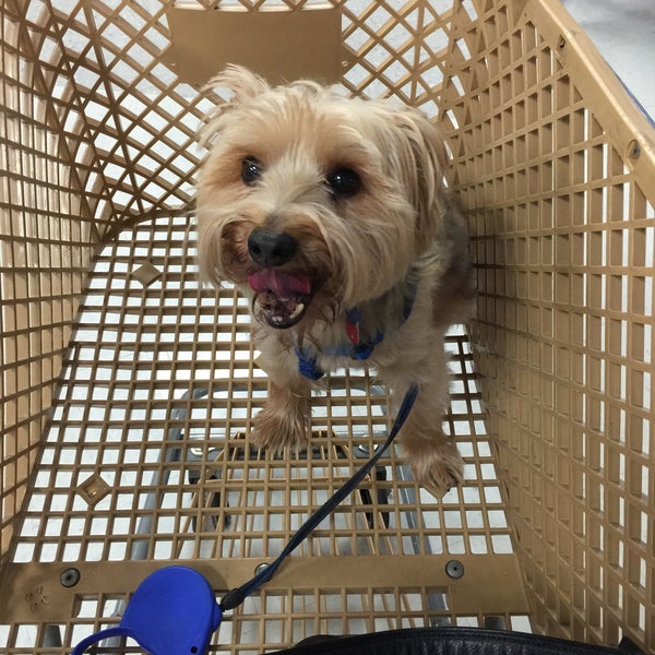 Petco - Pet Supplies Store