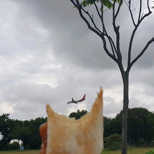 Changi Business Park Plane Spotting Hut - Other Great Outdoors in Singapore