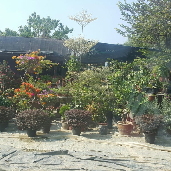 Pyrus Garden Nursery - Hobby Store in Seputih