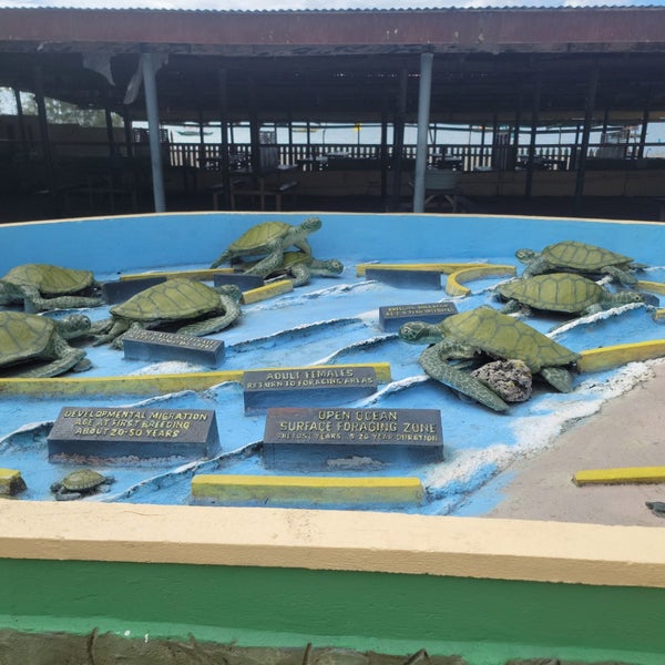 Pawikan Conservation Center - Morong, Bataan