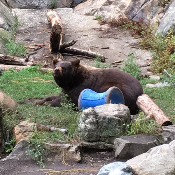 Photos at Bear Mountain Zoo and Trailsides Museum - 18 tips from 1038 ...