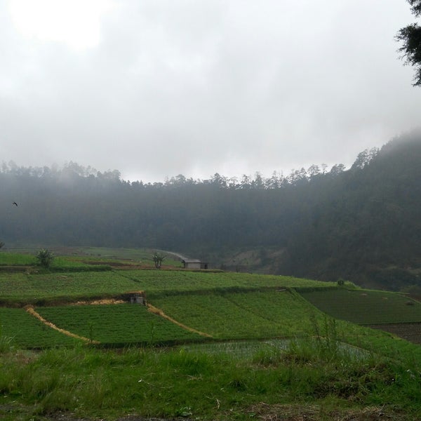 Cemoro Sewu - Gunung Lawu