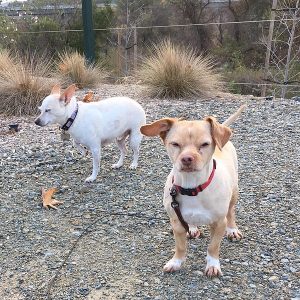 Ladera Ranch Park - San Juan Capistrano, CA