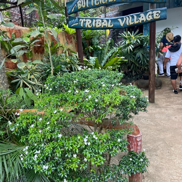Palawan Butterfly Eco Garden and Tribal Village