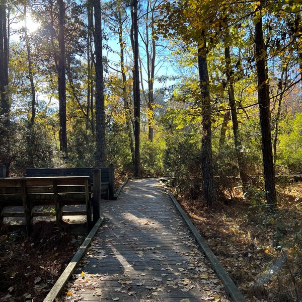 Maritime Forest Hiking Trail - Hiking Trail in Corolla