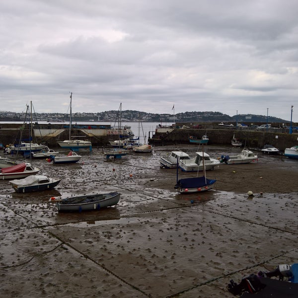 Paignton Harbour - 1 tip from 216 visitors
