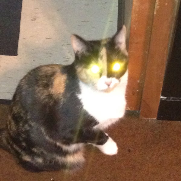 Willy Wonka's Chocolate Factory - Arcade in Mount Lebanon