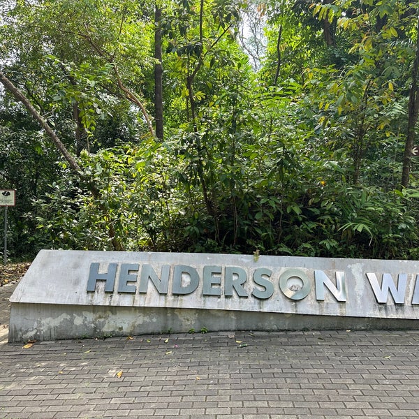Henderson Waves - Henderson Rd
