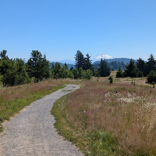 Powell Butte Nature Park - 13 tips from 839 visitors