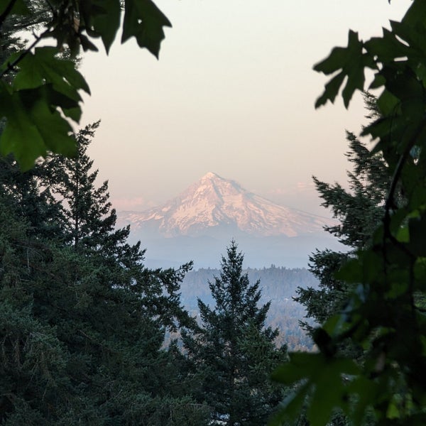 Summit of Mt. Tabor - Portland, OR
