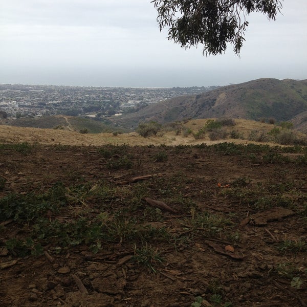 Two Trees - Scenic Lookout