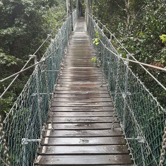 Photos at O'Reilly's Tree Top Walk - Hiking Trail