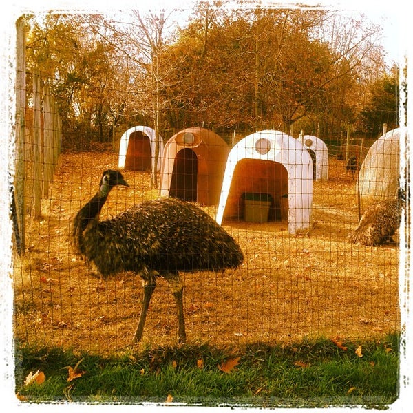 Barton Cove Boat Ramp - Turners Falls, MA