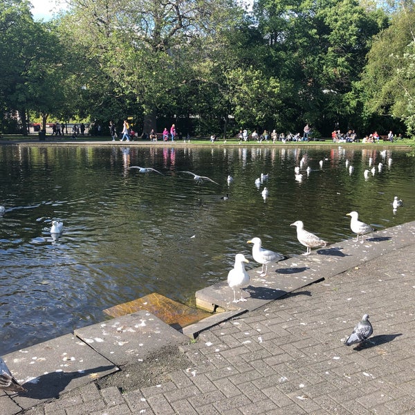 KC Peaches - South-East Inner City - 9 tips