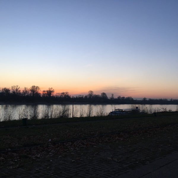 wilder Strand am Rhein - Beach