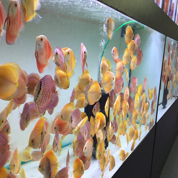 Europa Discus Center - Pet Supplies Store