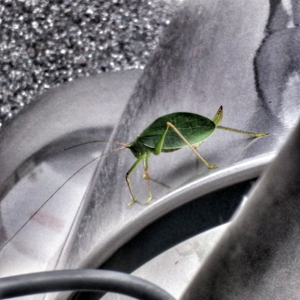 Target Distribution Center - Newton, NC