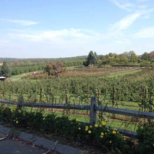 Belltown Hill Orchards - 12 tips