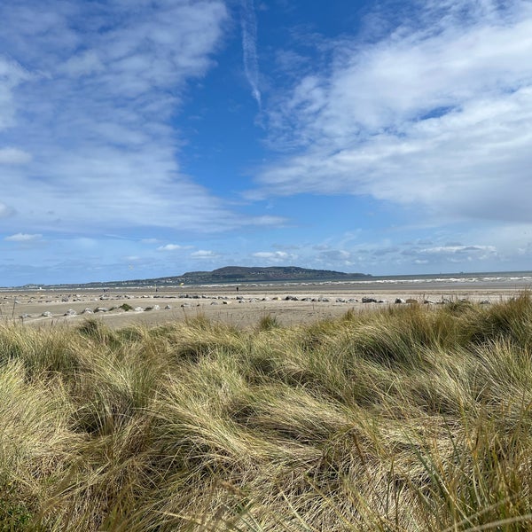 Bull Island - Clontarf - 8 tips