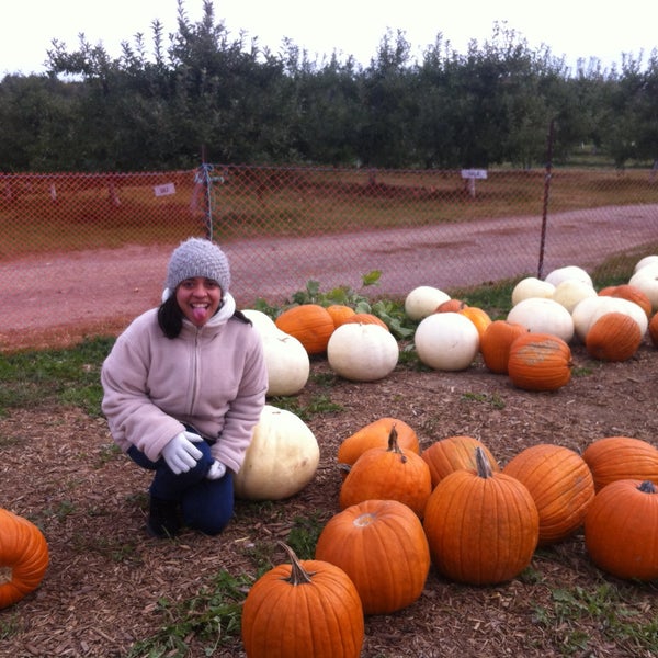 Dixie Orchards - Farm