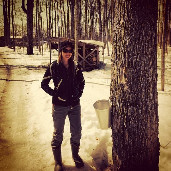 Shaw's Maple Syrup - Breakfast Spot in Hawkestone