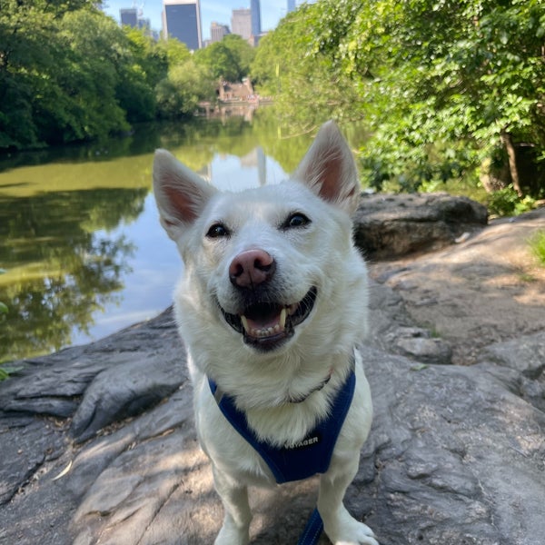 Photos at The Ramble - Central Park - New York, NY