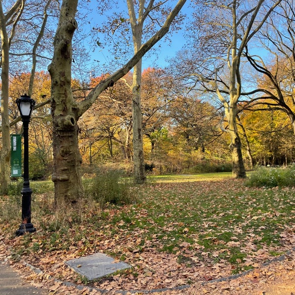 The Ramble - Central Park - New York, NY