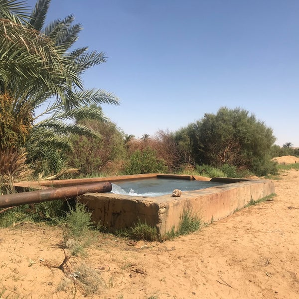 El Haiz Oasis