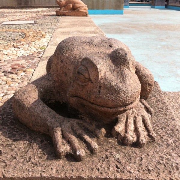 Plaza de las Ranas - Miguel Hidalgo