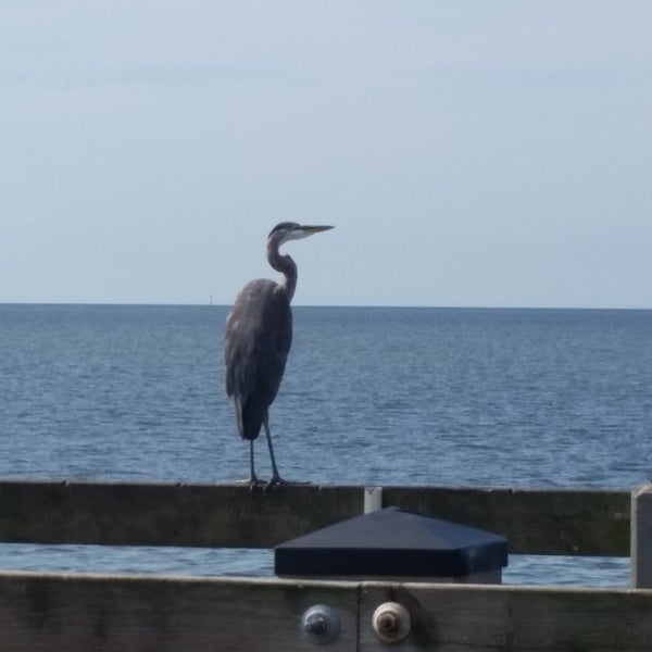 Ken Combs Pier - 4 tips from 197 visitors