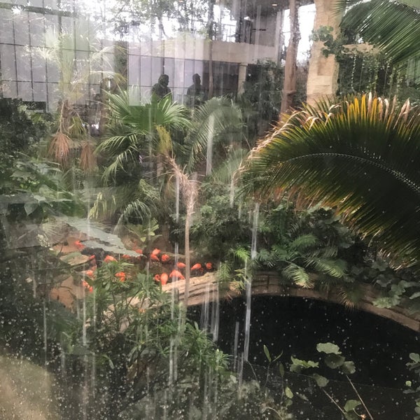 Café Maya - Dallas, TX