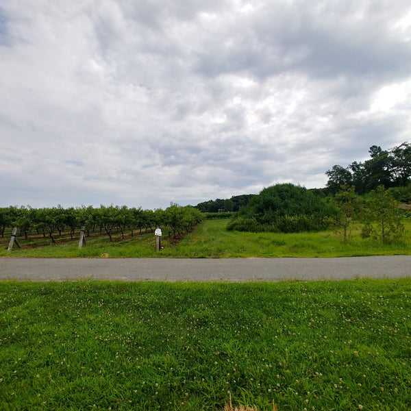 Lookout Farm - 18 tips from 1019 visitors