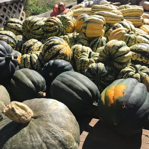 Jim Dandy Farm Market - 2 tips