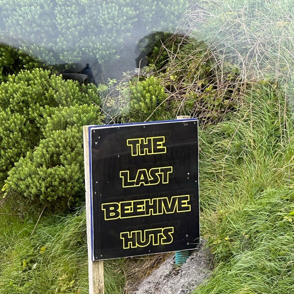 Hold A Baby Lamb And Beehive Huts - 68 visitors