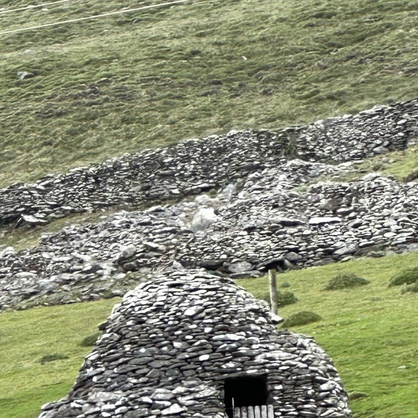 Hold A Baby Lamb And Beehive Huts - 68 visitors