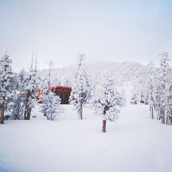 Mount Snow Resort - Ski Area