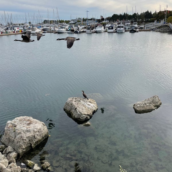 Lakefront Promenade Park - Lakeview - 2 tips from 205 visitors