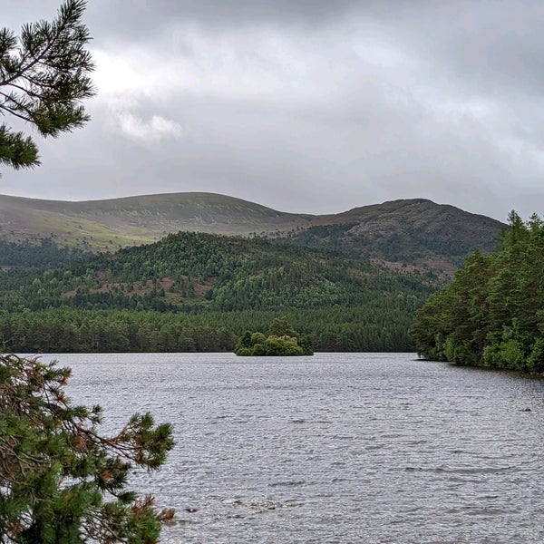 Loch An Eilean - 4 tips