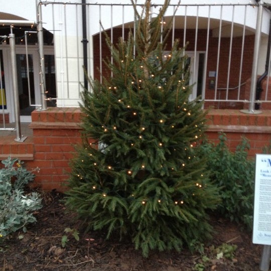 Oak Tree Centre - Structure