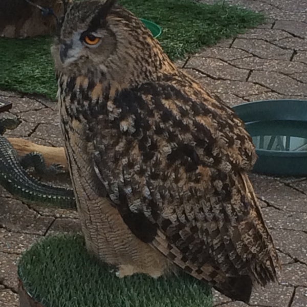 Sutton Coldfield - 1 tip