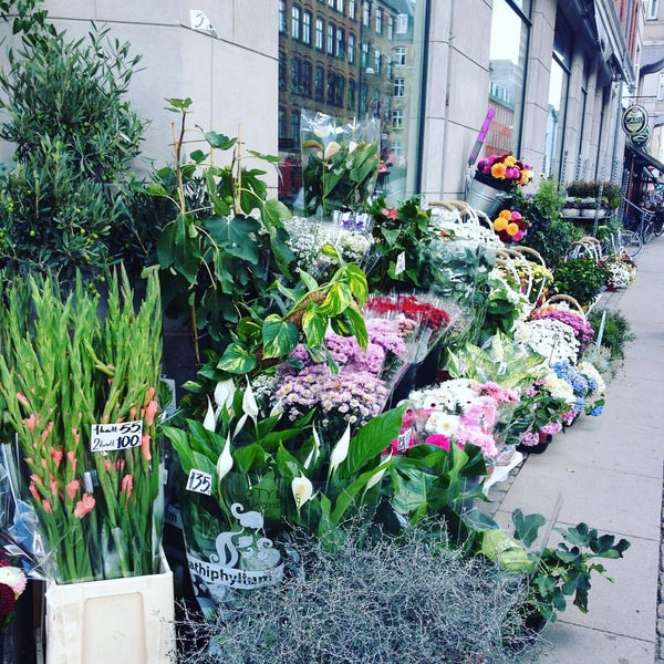 Skipper Bodega - Vesterbro - Kongens Enghave - 6 tips