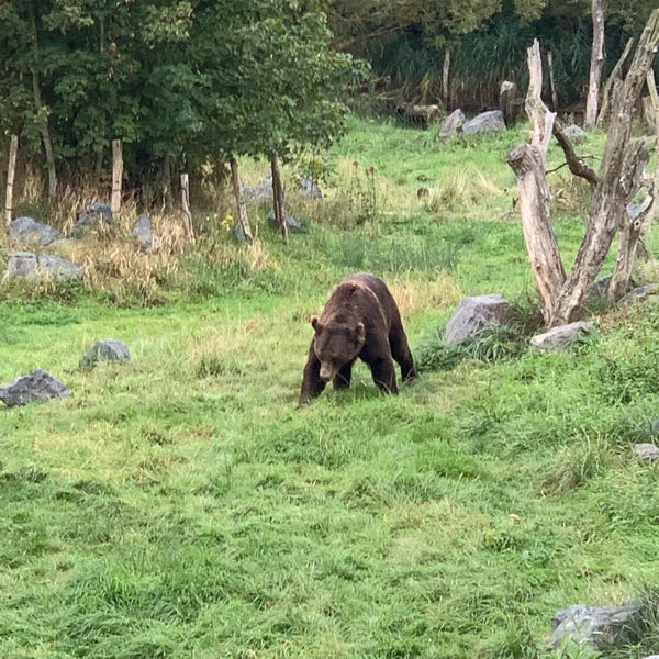 Parc Animalier de Sainte-Croix - Domaine de Sainte Croix