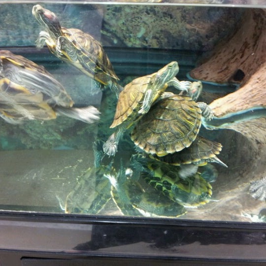 Petco - 9480 W Northern Ave