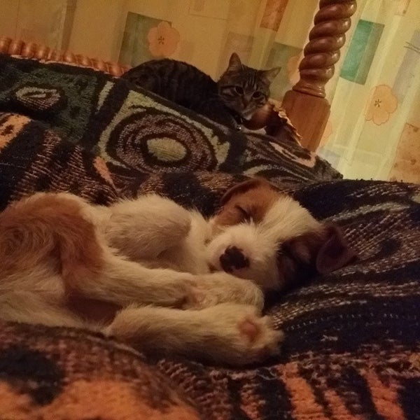 Hallglen - Stirlingshire, Stirlingshire