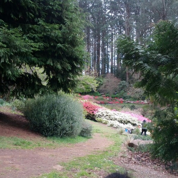 National Rhododendron Gardens - Garden